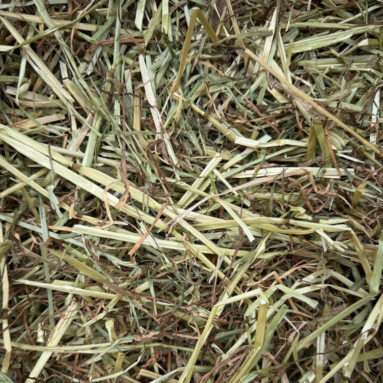 Foin Naturel Rabbits & Co pour Rongeurs - Qualité Supérieure